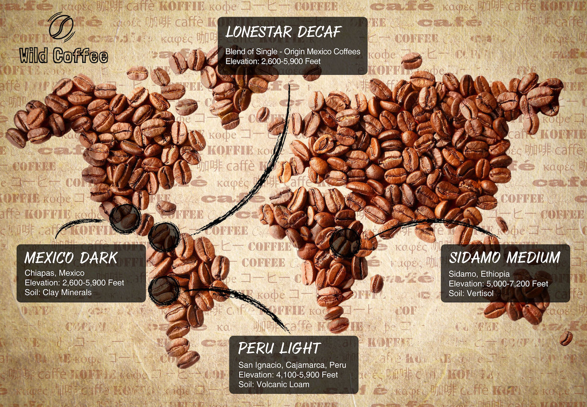 Arabica vs Robusta? What's the difference between the two most popular