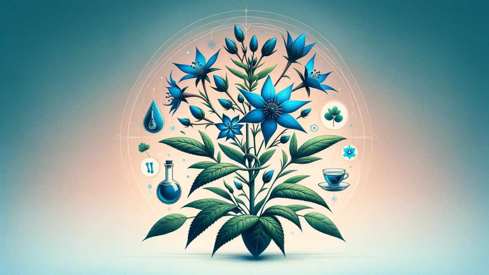 All About Borage: Using it, Health Benefits, and History