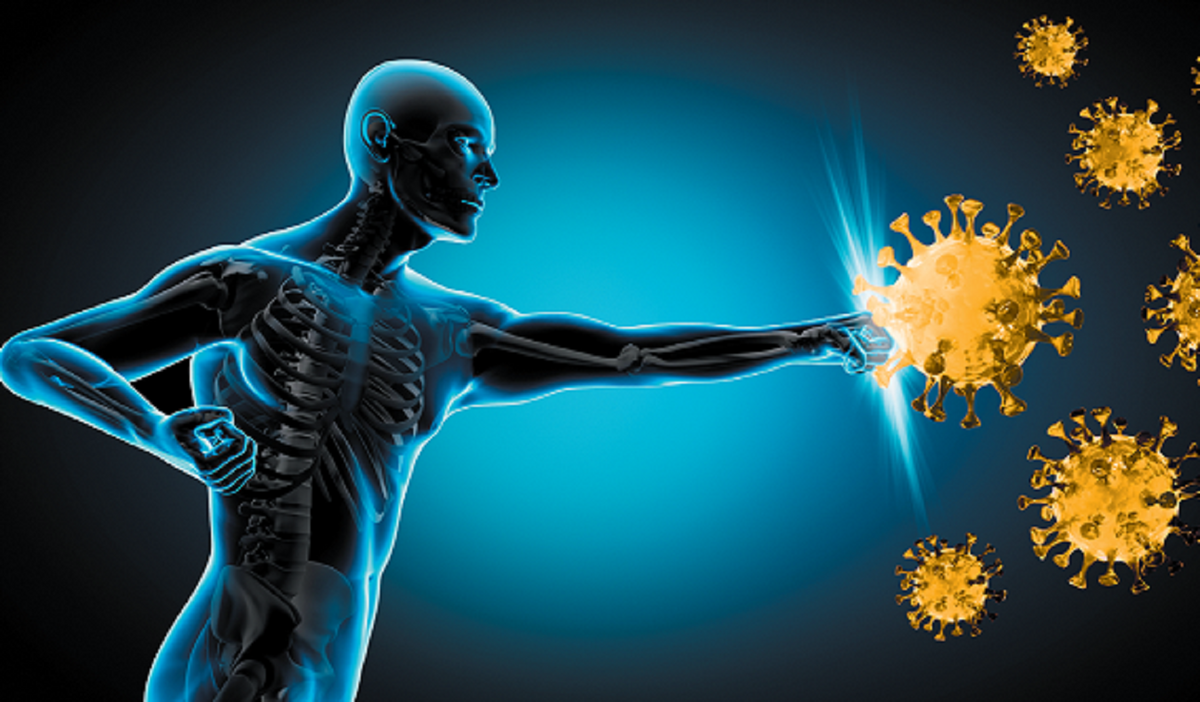 How to Improve Immune Health for Beginners