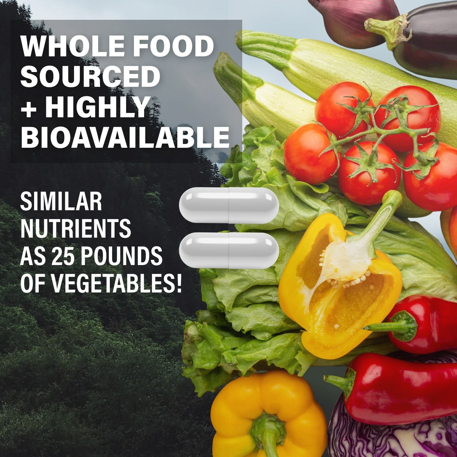 NEW: Wild Methylated Whole Food Multivitamin for Men and Women