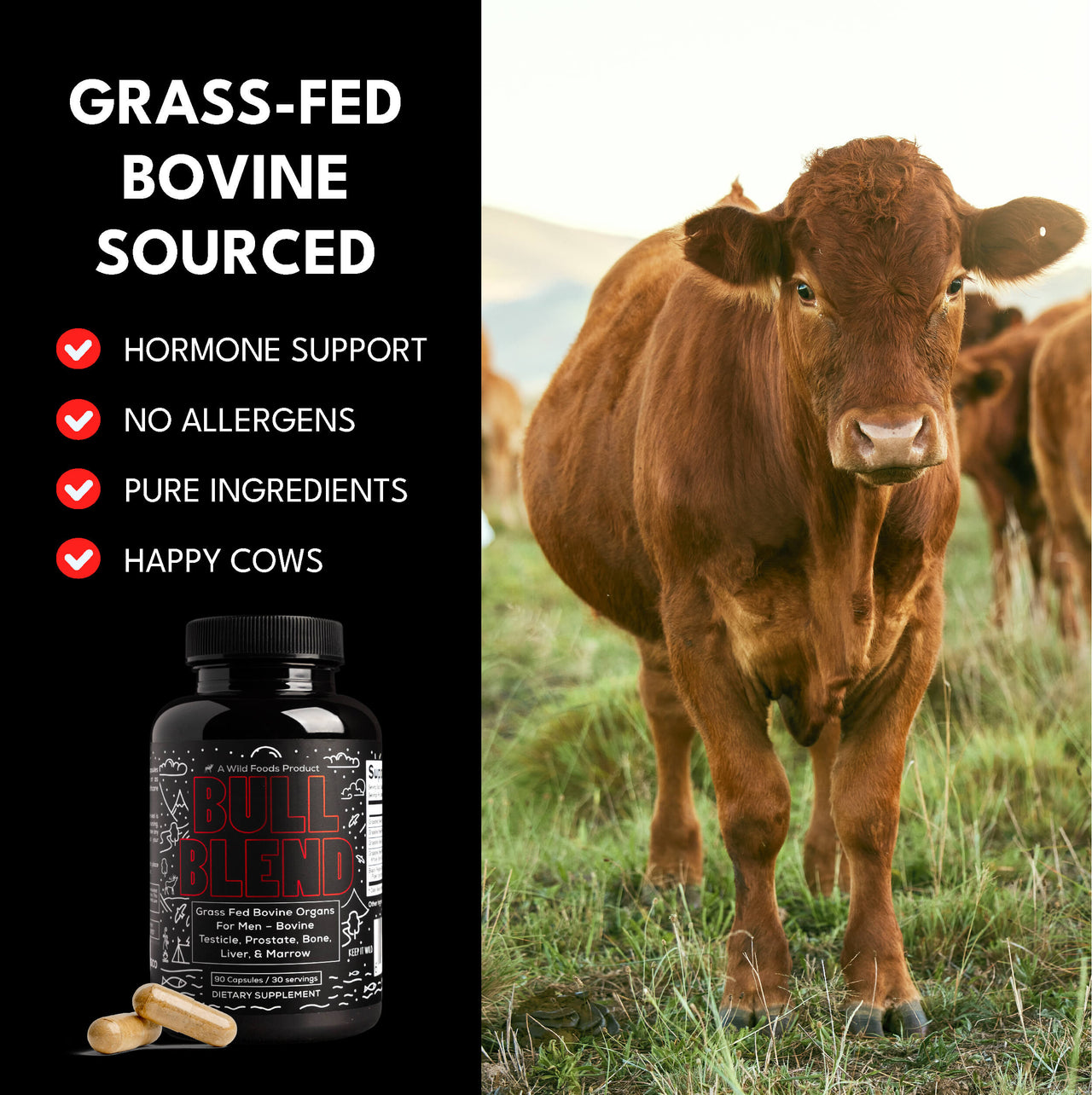 Bull Blend, 30 servings – Natural Male Hormone & Energy Support