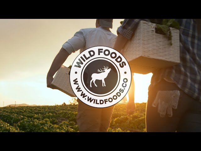 The Wild Foods Mission