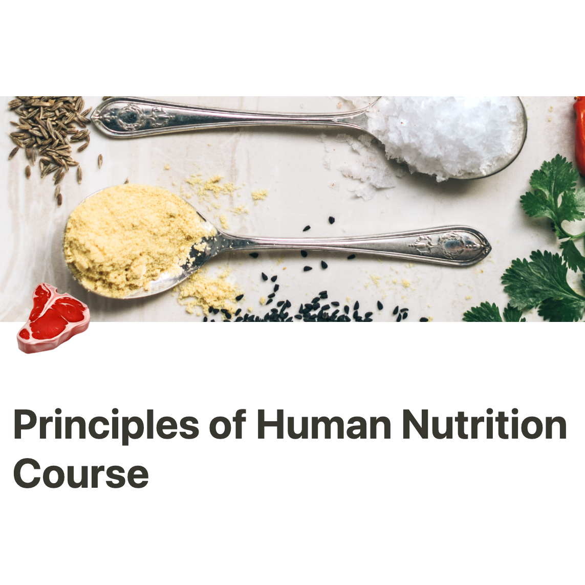 Principles of Human Nutrition Course by The Wild CEO