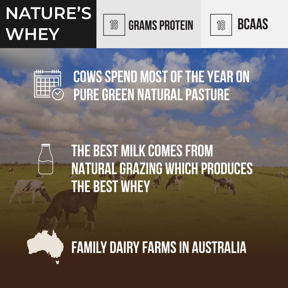 Grass-fed Whey Protein by Wild Foods